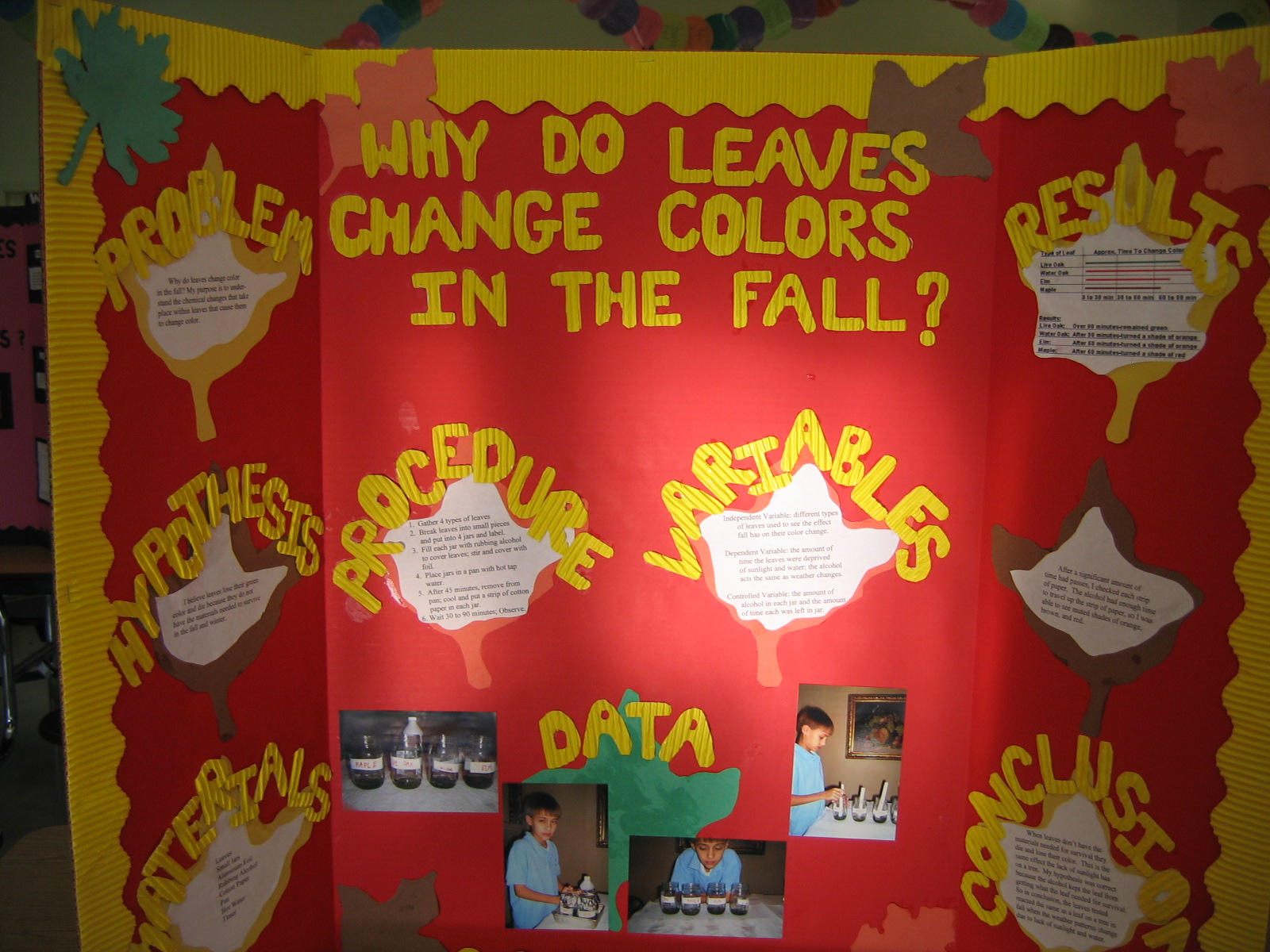Why Do Leaves Change Color In The Fall 